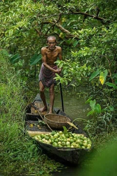 Bangladesh